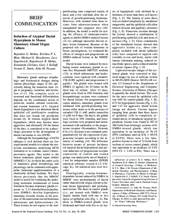(PDF) Induction of Atypical Ductal Hyperplasia in Mouse Mammary Gland ...