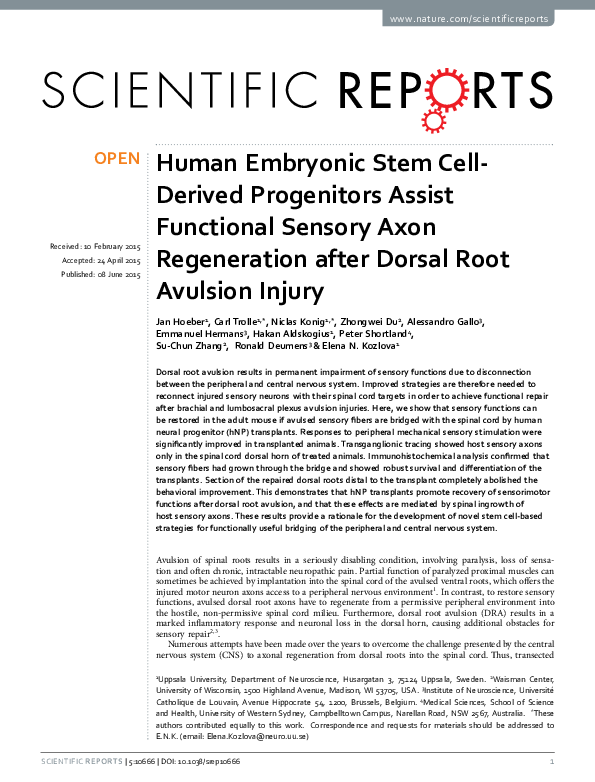 (PDF) Human Embryonic Stem Cell-Derived Progenitors Assist Functional ...