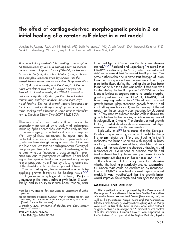 (PDF) The effect of cartilage-derived morphogenetic protein 2 on ...