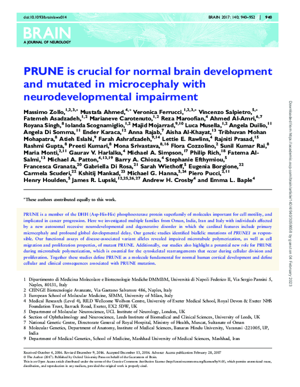 (PDF) PRUNE is crucial for normal brain development and mutated in ...