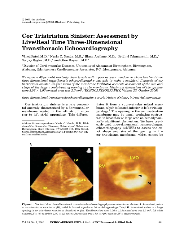 (PDF) Cor Triatriatum Sinister: Assessment by Live/Real Time Three ...