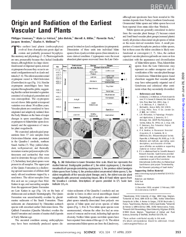 (PDF) Origin and Radiation of the Earliest Vascular Land Plants