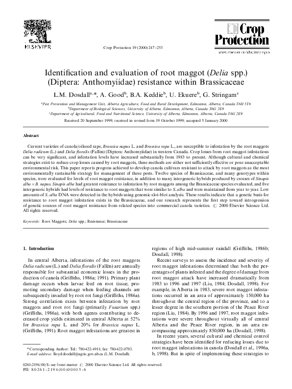 (PDF) Identification and evaluation of root maggot (Delia spp ...
