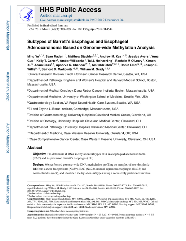(PDF) Subtypes of Barrett’s oesophagus and oesophageal adenocarcinoma ...