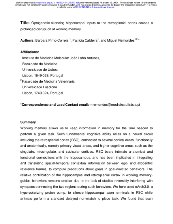 (PDF) Optogenetic silencing hippocampal inputs to the retrosplenial cortex causes a prolonged ...