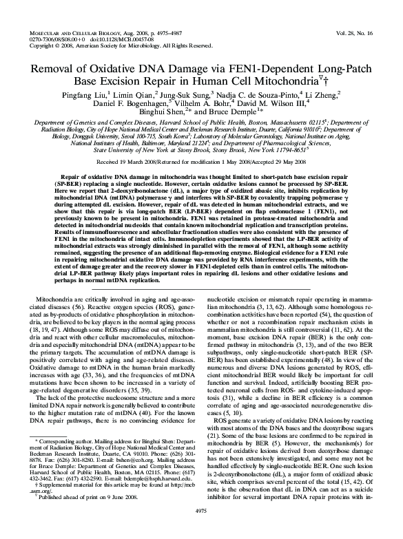 (PDF) Removal of Oxidative DNA Damage via FEN1-Dependent Long-Patch ...