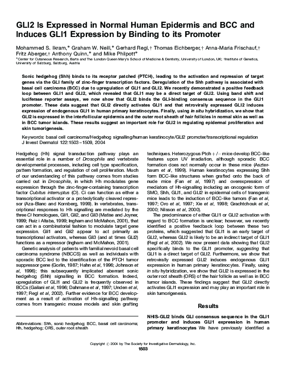 (PDF) GLI2 Is Expressed in Normal Human Epidermis and BCC and Induces ...