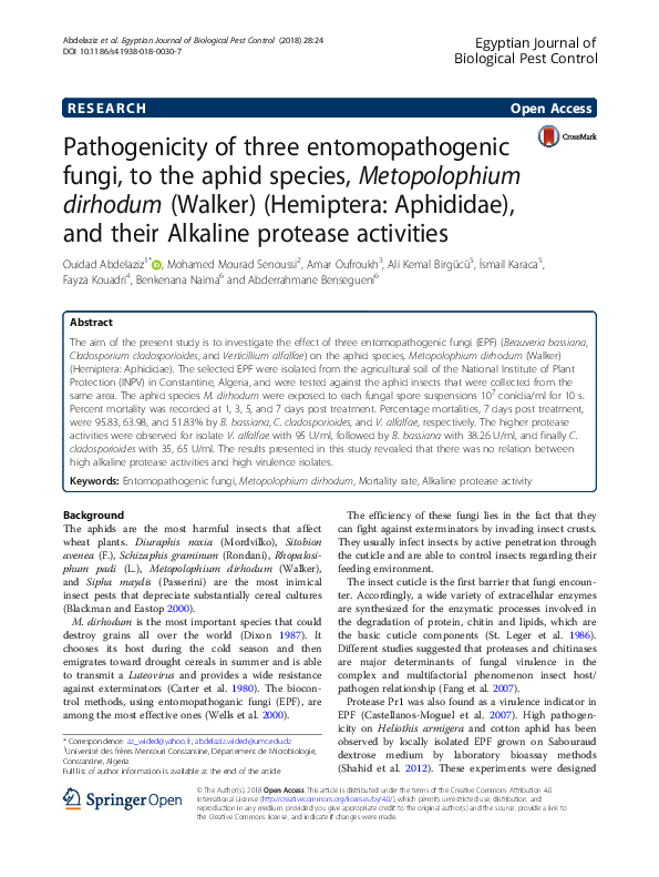 (PDF) Pathogenicity of three entomopathogenic fungi, to the aphid species, Metopolophium ...