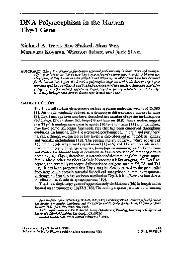(PDF) DNA polymorphism in the human Thy-1 gene