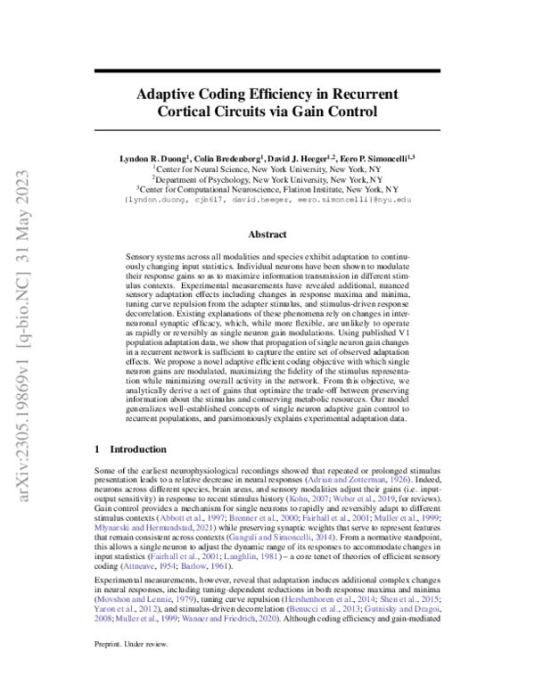 (PDF) Adaptive coding efficiency in recurrent cortical circuits via gain control