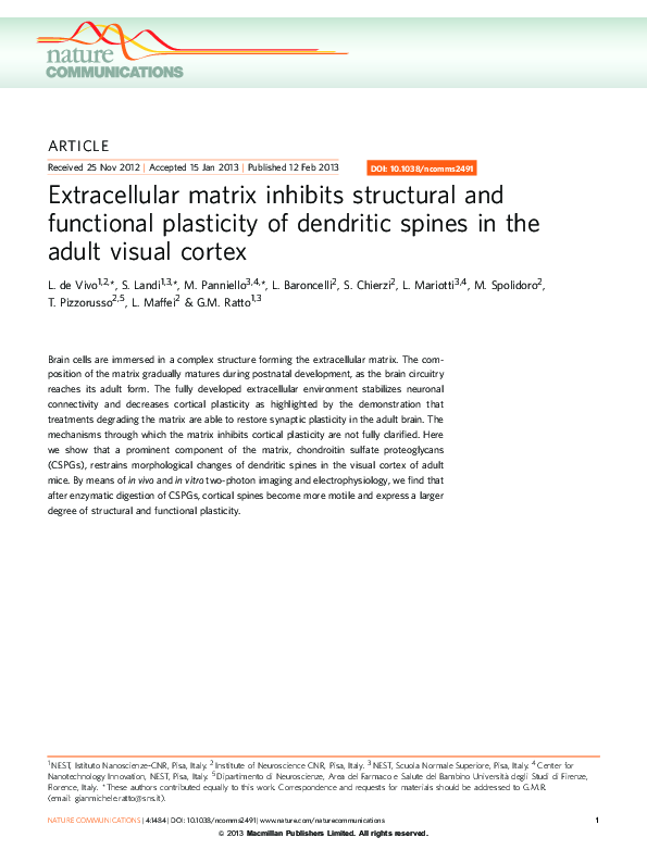 (PDF) Extracellular matrix inhibits structural and functional ...