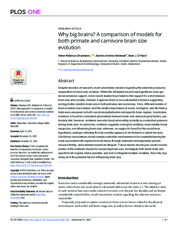 (PDF) Why big brains? A comparison of models for both primate and ...