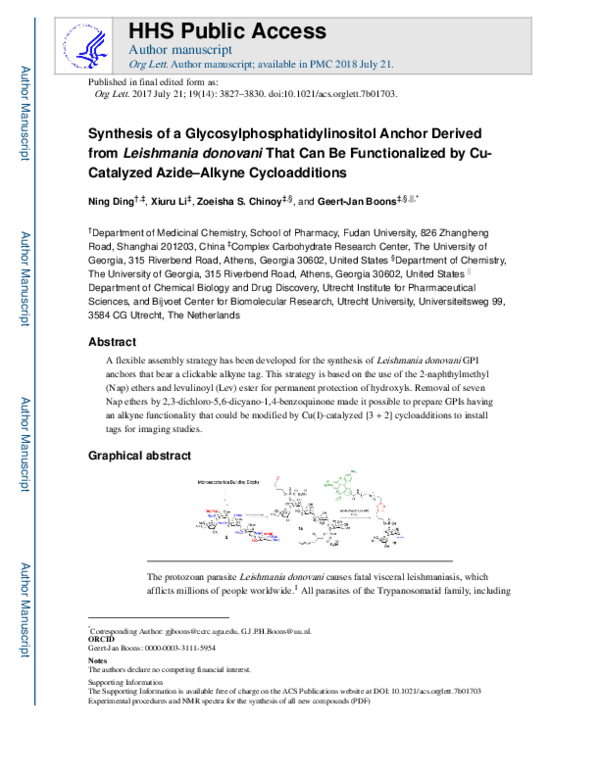 (PDF) Synthesis of a Glycosylphosphatidylinositol Anchor Derived from Leishmania donovani That ...
