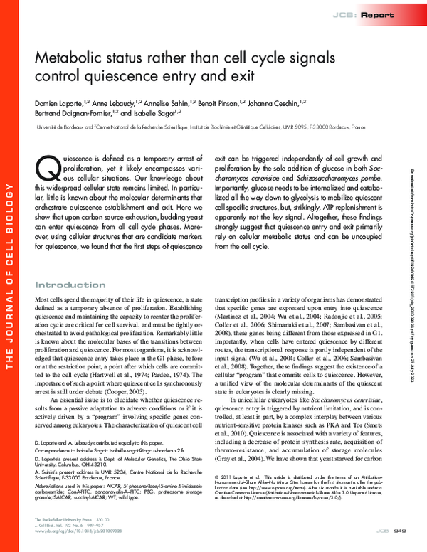 (PDF) Metabolic status rather than cell cycle signals control ...