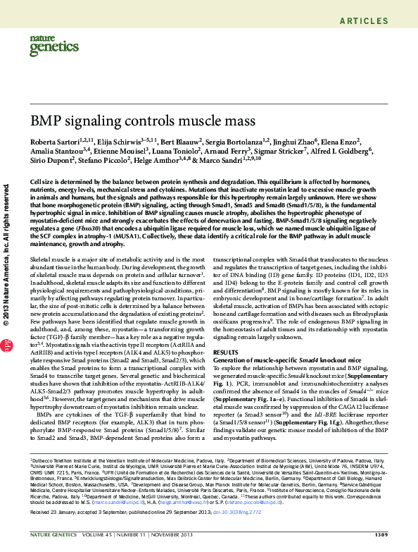 (PDF) BMP signaling controls muscle mass | Roberta Sartori - Academia.edu
