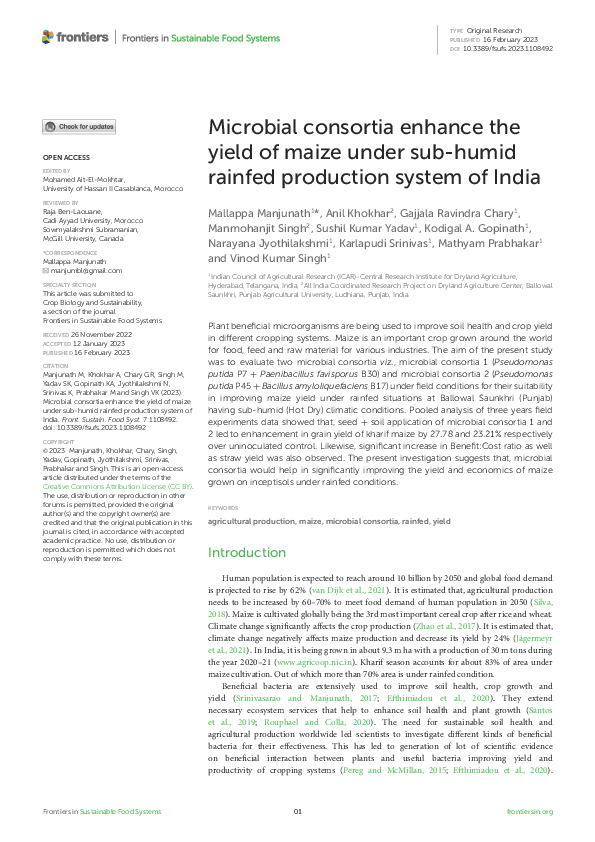 (PDF) Microbial consortia enhance the yield of maize under sub-humid ...
