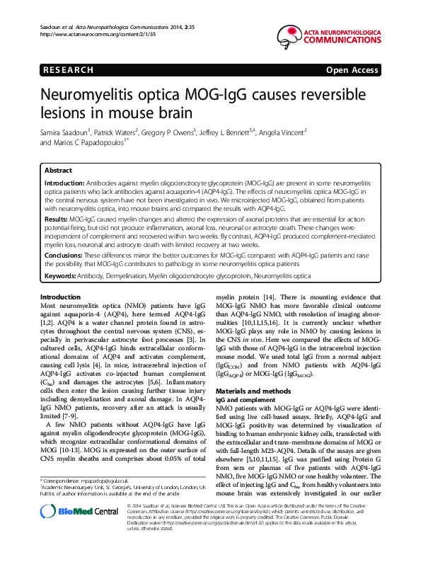 (PDF) Neuromyelitis optica MOG-IgG causes reversible lesions in mouse brain