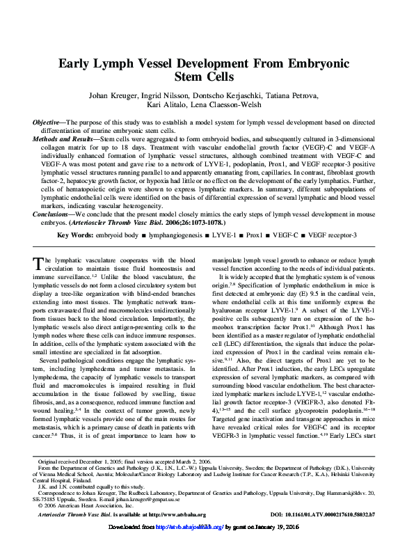 (PDF) Early Lymph Vessel Development From Embryonic Stem Cells | Ingrid ...