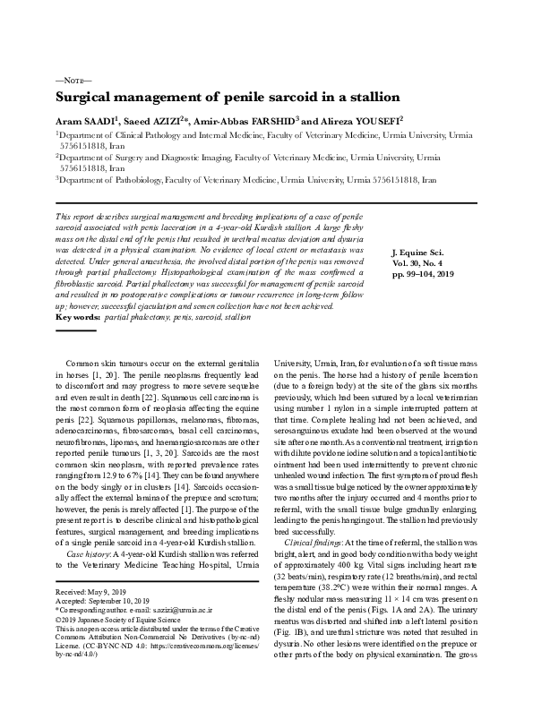(PDF) Surgical management of penile sarcoid in a stallion