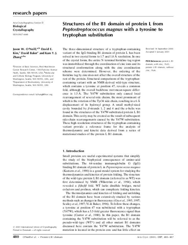 (PDF) Structures of the B1 domain of protein L fromPeptostreptococcus ...