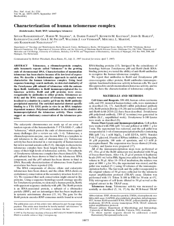 (PDF) Characterization of human telomerase complex | Harsh sharma ...