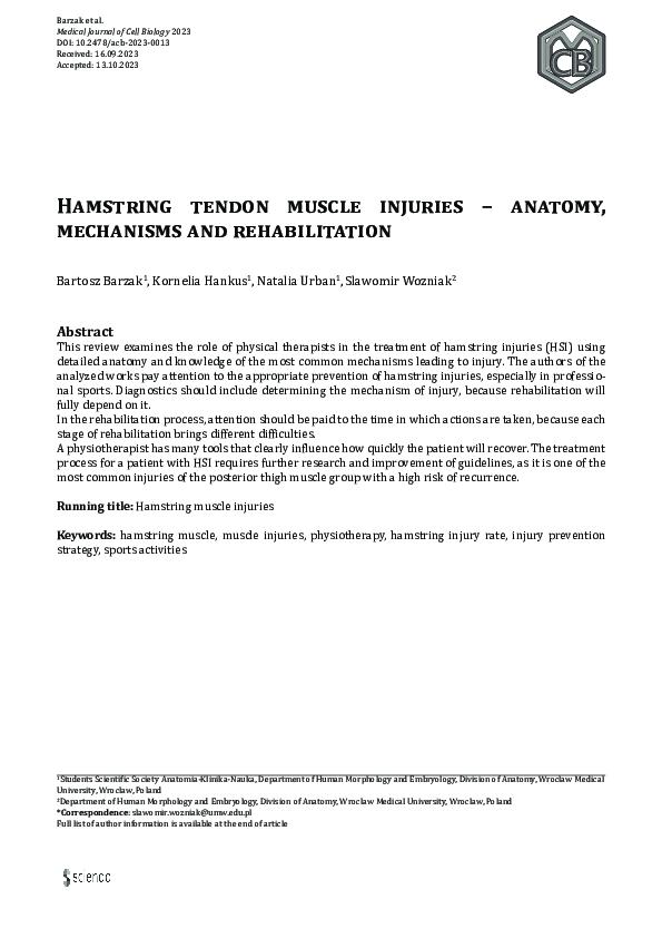 (PDF) Hamstring tendon muscle injuries – anatomy, mechanisms and ...