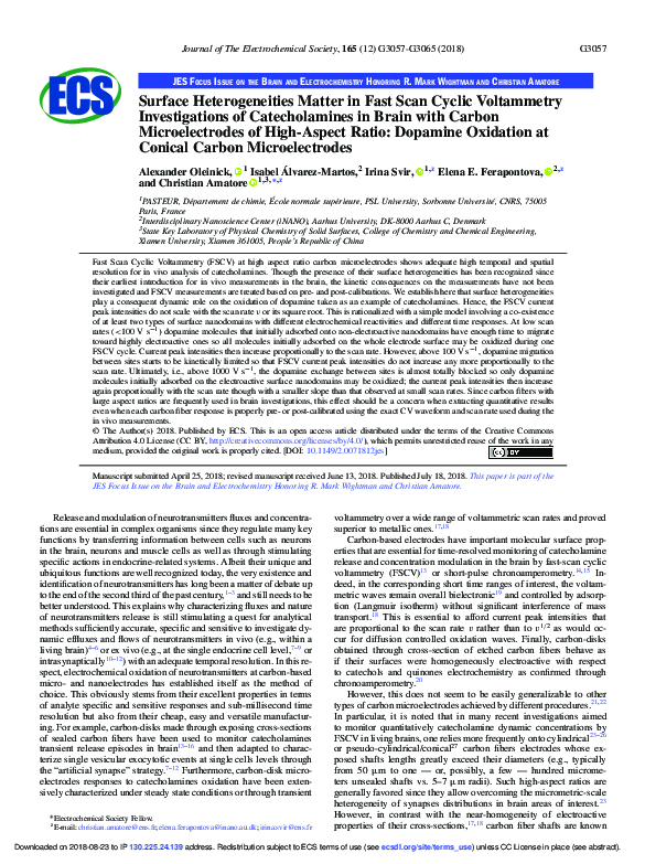 (PDF) Surface Heterogeneities Matter in Fast Scan Cyclic Voltammetry ...