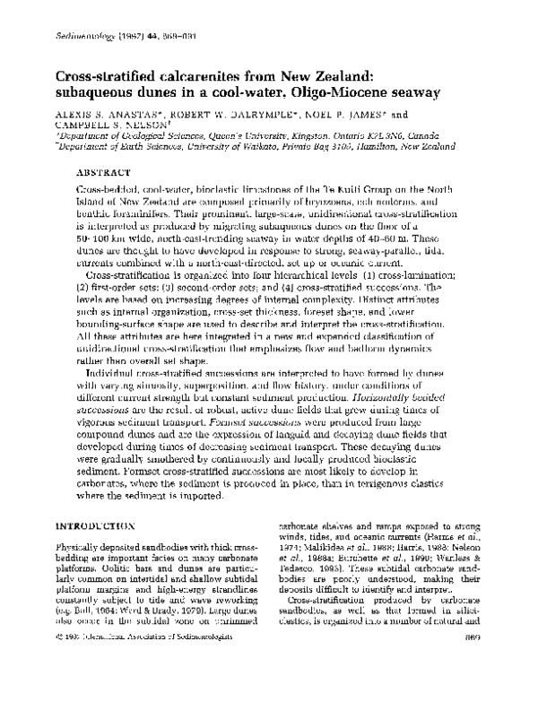 (PDF) Cross-stratified calcarenites from New Zealand: subaqueous dunes ...