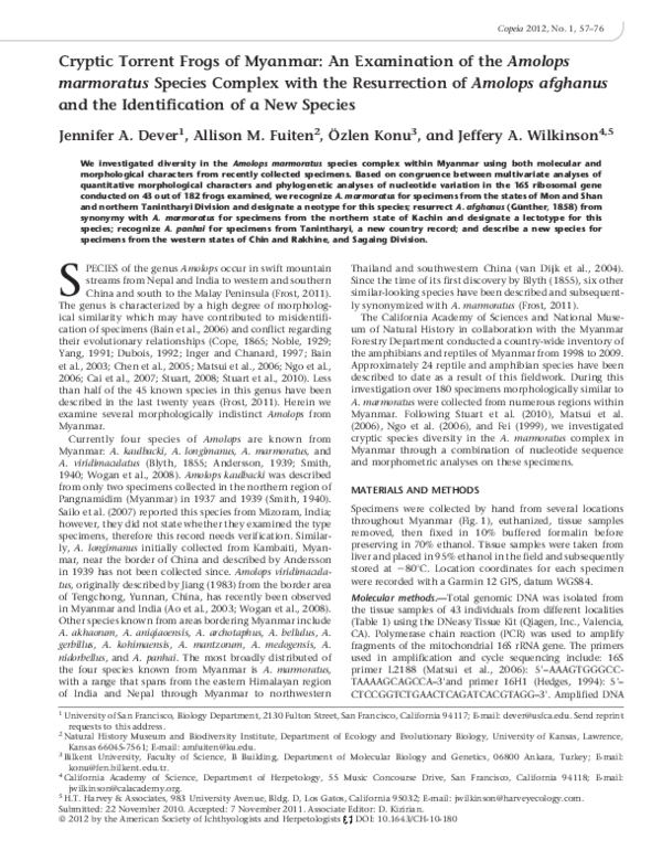 (PDF) Cryptic Torrent Frogs of Myanmar: An Examination of the Amolops ...