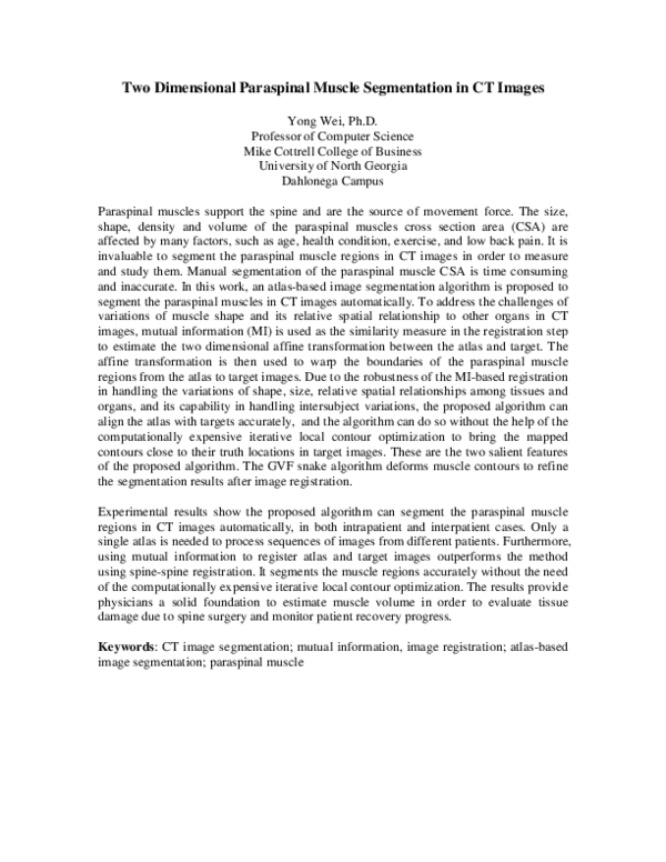 (PDF) Two dimensional paraspinal muscle segmentation in CT images