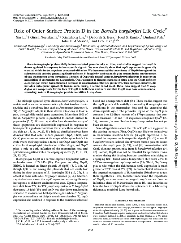 (PDF) Role of Outer Surface Protein D in the Borrelia burgdorferi Life ...