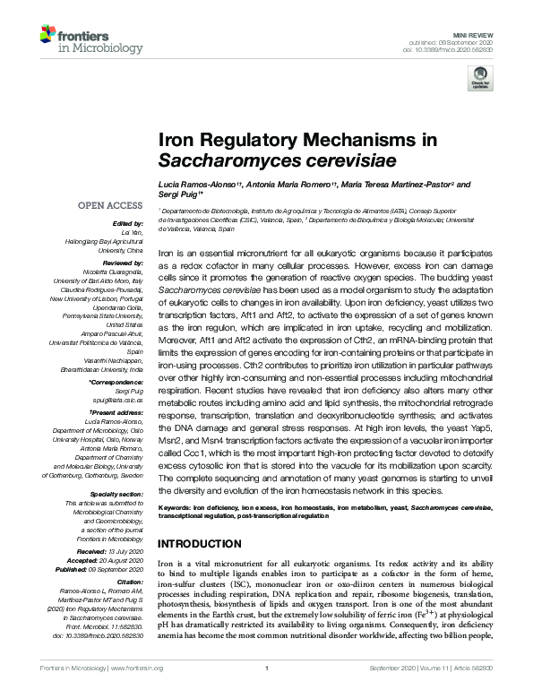 (PDF) Iron Regulatory Mechanisms in Saccharomyces cerevisiae
