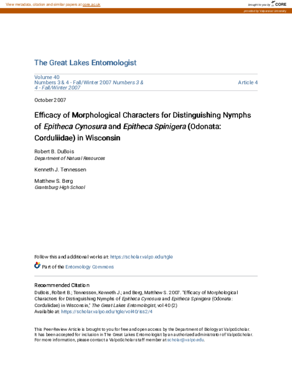 (PDF) Efficacy of Morphological Characters for Distinguishing Nymphs of ...