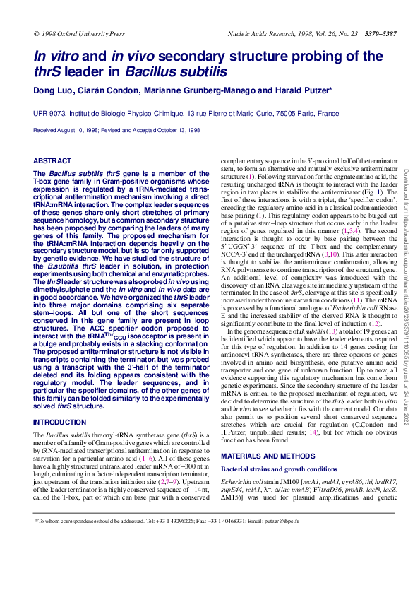 (PDF) In vitro and in vivo secondary structure probing of the thrS ...