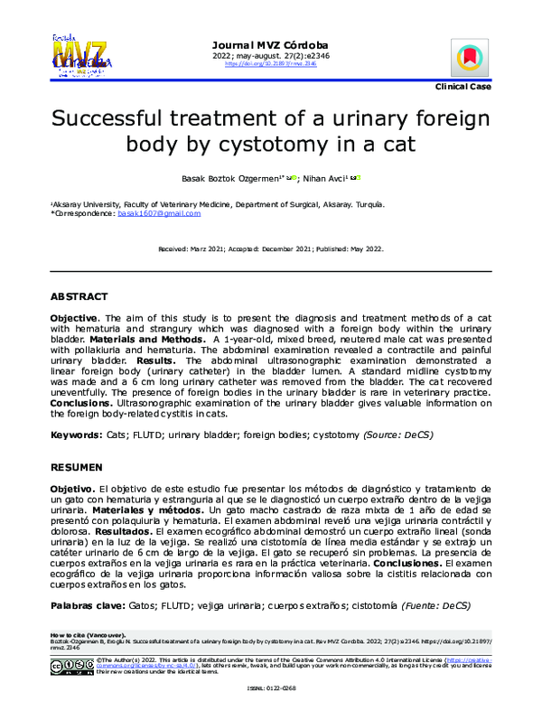 (PDF) Successful treatment of a urinary foreign body by cystotomy in a cat