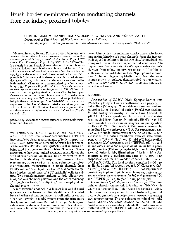 (PDF) Brush-border membrane cation conducting channels from rat kidney ...