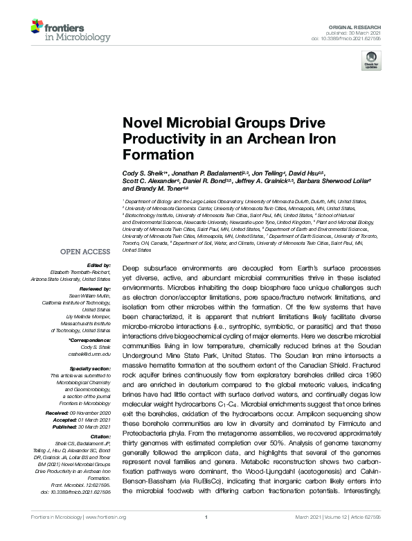 (PDF) Novel Microbial Groups Drive Productivity in an Archean Iron ...