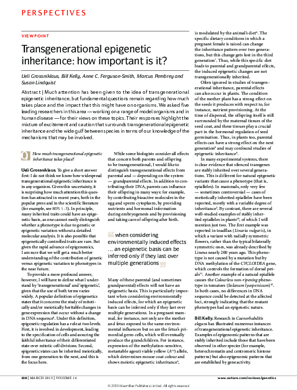 (PDF) Transgenerational epigenetic inheritance: how important is it?