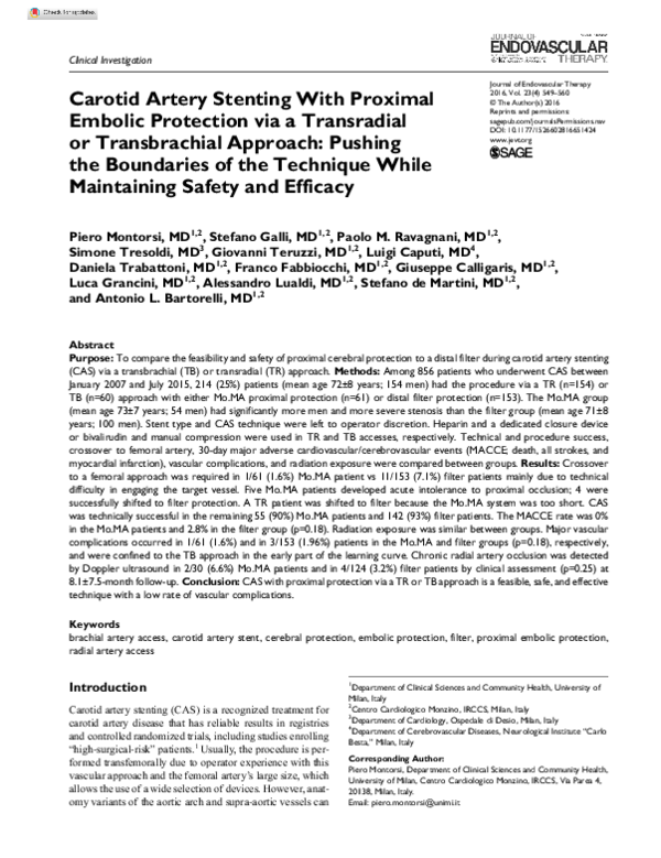 (PDF) Carotid Artery Stenting With Proximal Embolic Protection via a ...