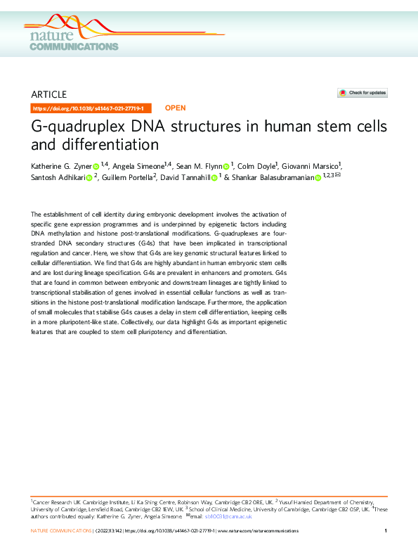 (PDF) G-quadruplex DNA structures in human stem cells and ...