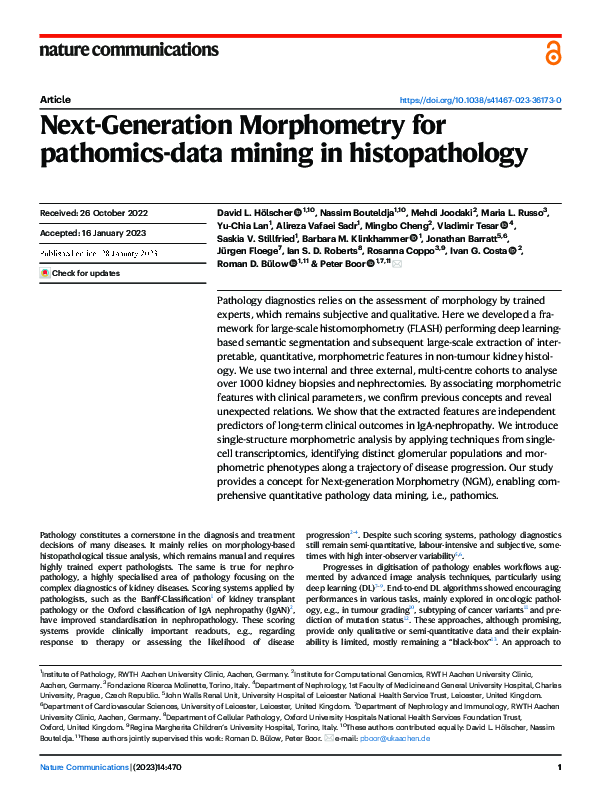 (PDF) Next-Generation Morphometry for pathomics-data mining in histopathology | Mingbo Cheng ...