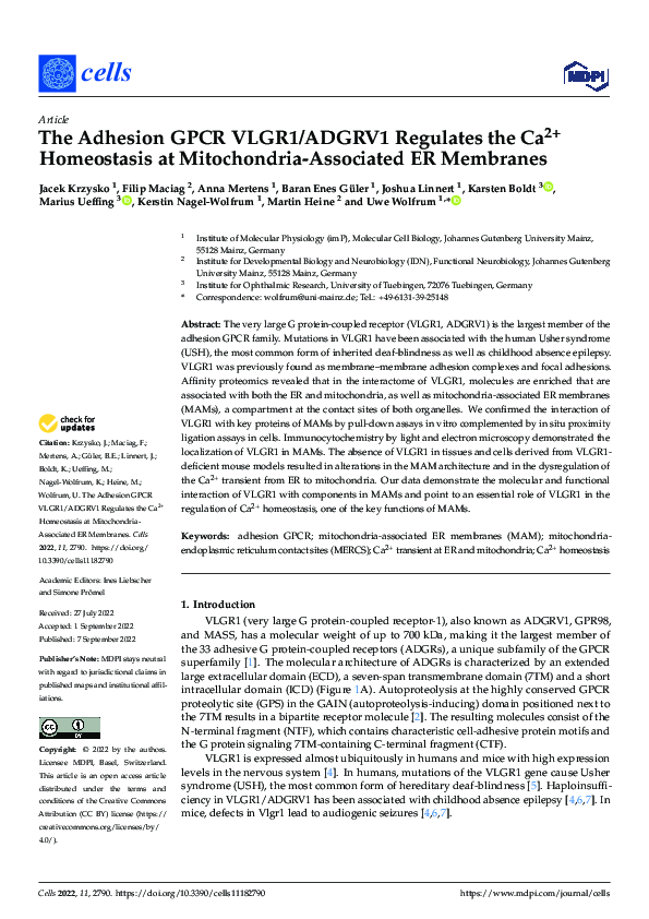 (PDF) The Adhesion GPCR VLGR1/ADGRV1 Regulates the Ca2+ Homeostasis at ...