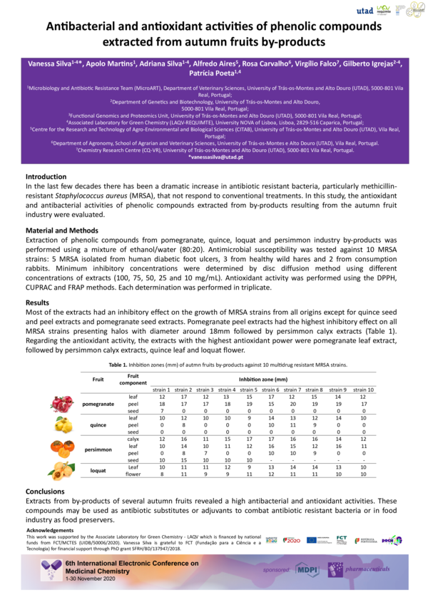 (PDF) Antibacterial and antioxidant activities of phenolic compounds ...