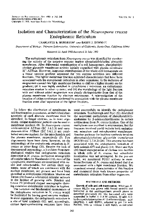 (PDF) Isolation and characterization of the Neurospora crassa endoplasmic reticulum | Barry ...