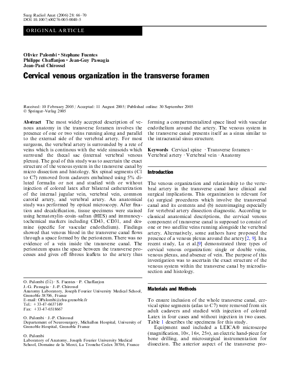 (PDF) Cervical venous organization in the transverse foramen