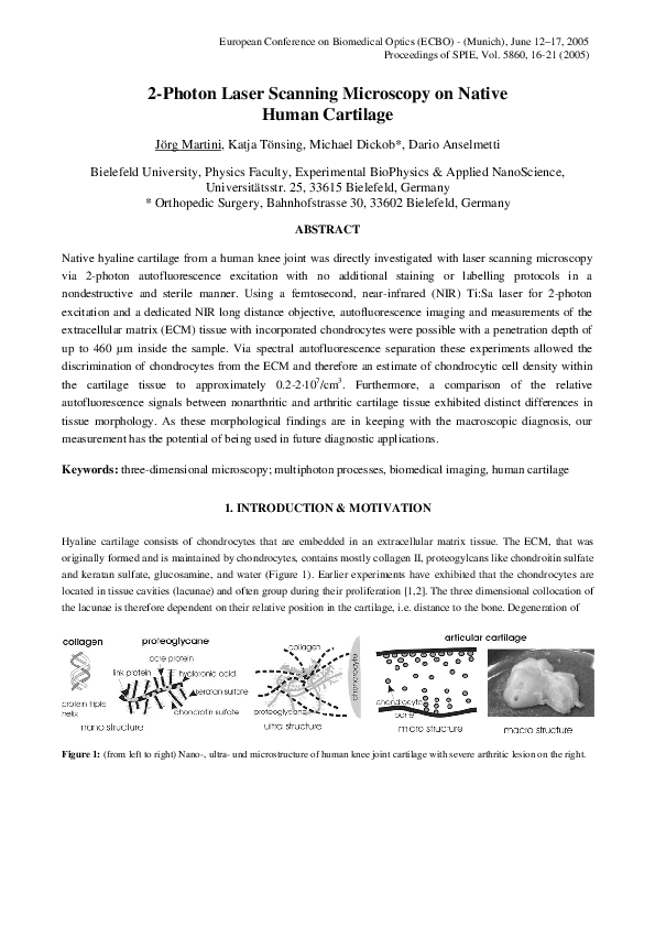 (PDF) Two-photon laser scanning microscopy on native cartilage and collagen-membranes for tissue ...