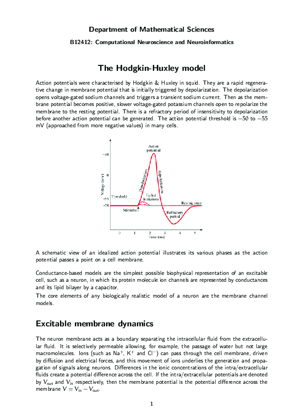 (PDF) The Hodgkin—Huxley Model