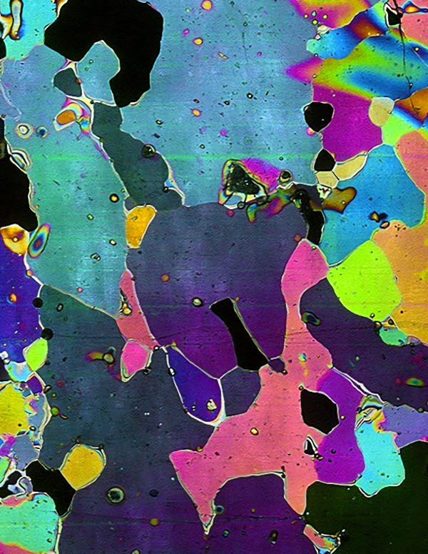 (PDF) Future Fragments Catalogue