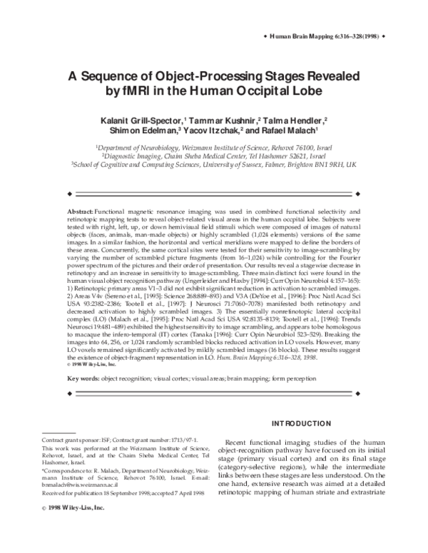 (PDF) A sequence of object‐processing stages revealed by fMRI in the ...