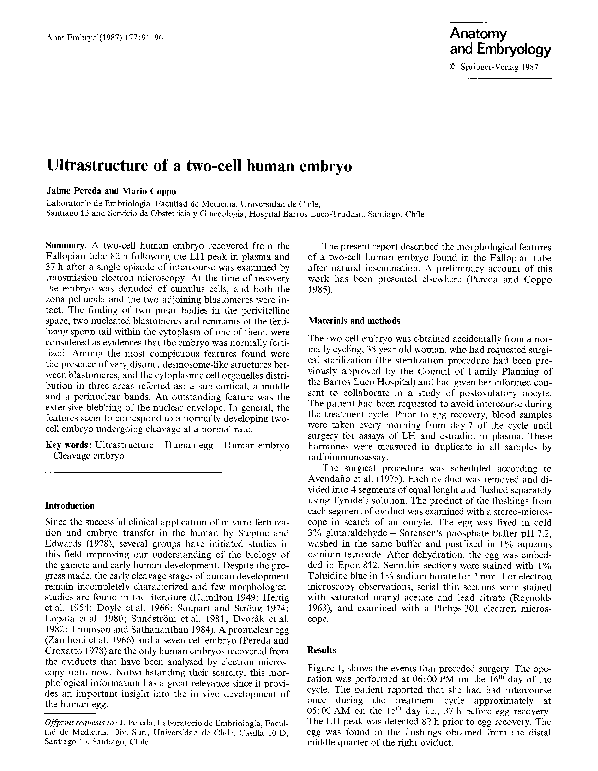 (PDF) Ultrastructure of a two-cell human embryo